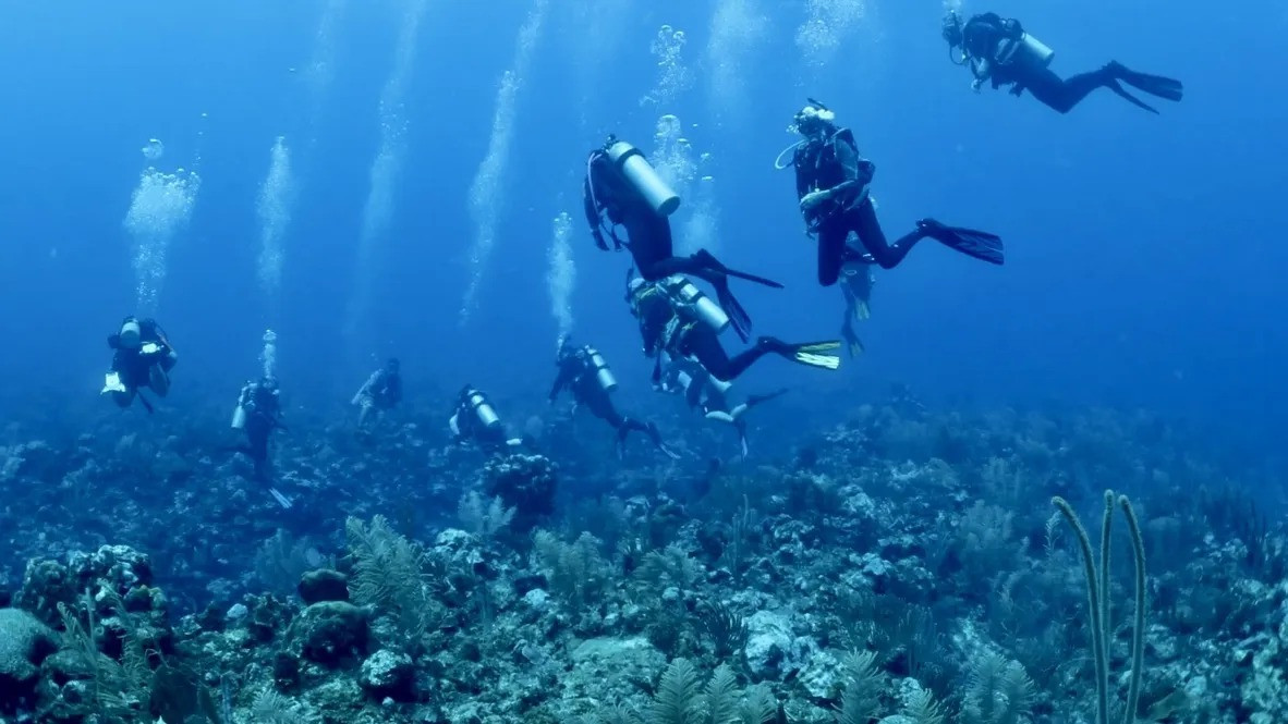 Scuba Schools of America's Instructor-Built Dive Gear Packages - The ...